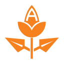 Indian Language Software Company : Modular Infotech Pvt. Ltd. - Home Page